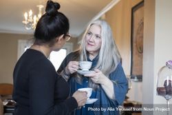 Women Having A Conversation Over Tea - Free Photo (5pQog4) - Noun Project