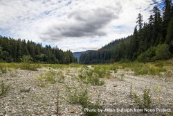 Opening In The Forest In The Mountains On Cloudy Day - Free Photo ...