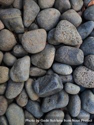 Shape - Free Photo by Gede Sutrisna (56GM9z) - Noun Project