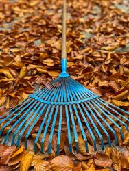 Rake Photos - Download 13 Free Images - Noun Project