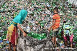 Young people collecting plastic bottles for recycling - Free Photo ...