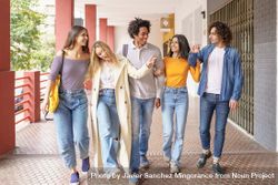 Group of friends strolling down the street outside and goofing around ...