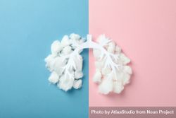 Lung Bronchus Made Of Paper And Cotton On Blue And Pink Background ...