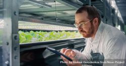 Adult Biology Scientist Closely Inspecting and Analyzing Young Growing ...