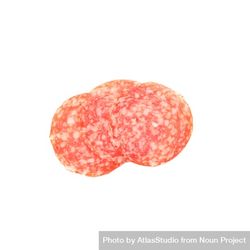Slices of salami, top view - Free Photo (5rQP70) - Noun Project