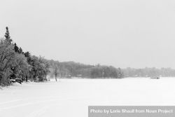 Iced Over Lake Surrounded By Trees On Snowy Day - Free Photo (5w2vv0 ...