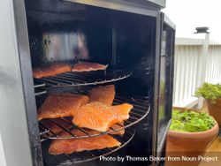 Open Smoker With Raw Fish Fillet Inside - Free Photo (5RNqB5) - Noun ...