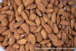 Almonds Pattern Texture - Free Photo (56GQ6z) - Noun Project