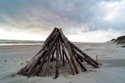 Car Logging Wood Photos - Download 3819 Free Images - Noun Project