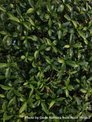 - Free Photo (5Q2a6d) - Noun Project