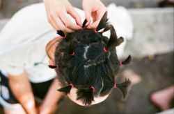 Splitting Hair Photos - Download 8562 Free Images - Noun Project