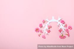 Paper lung bronchus with flowers with copy space - Free Photo (bxJ3r5 ...