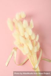 Bunch Of Dried Rabbit Tail On Pink Background - Free Photo (5rJO15 ...