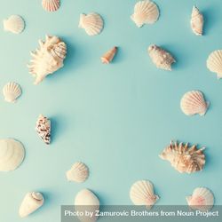 Seashell Pattern On Pastel Blue Background - Free Photo (bGAdl5) - Noun ...