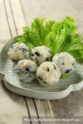 Korean Seaweed Rice Balls - Free Photo (4ONVL5) - Noun Project