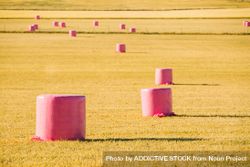 Bales wrapped with pink plastic - Free Photo (bG3D9V) - Noun Project