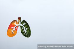 Lung shape in paper with bronchus and green and orange color underneath ...