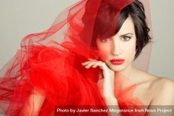 Female model draped in red mesh fabric - Free Photo (431yP0) - Noun Project