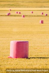 Bales wrapped with pink plastic - Free Photo (5rzW2l) - Noun Project
