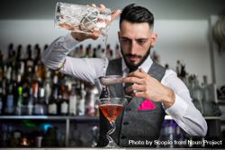 Bartender Using Double Straining Technique - Free Photo (5rKDp4) - Noun ...